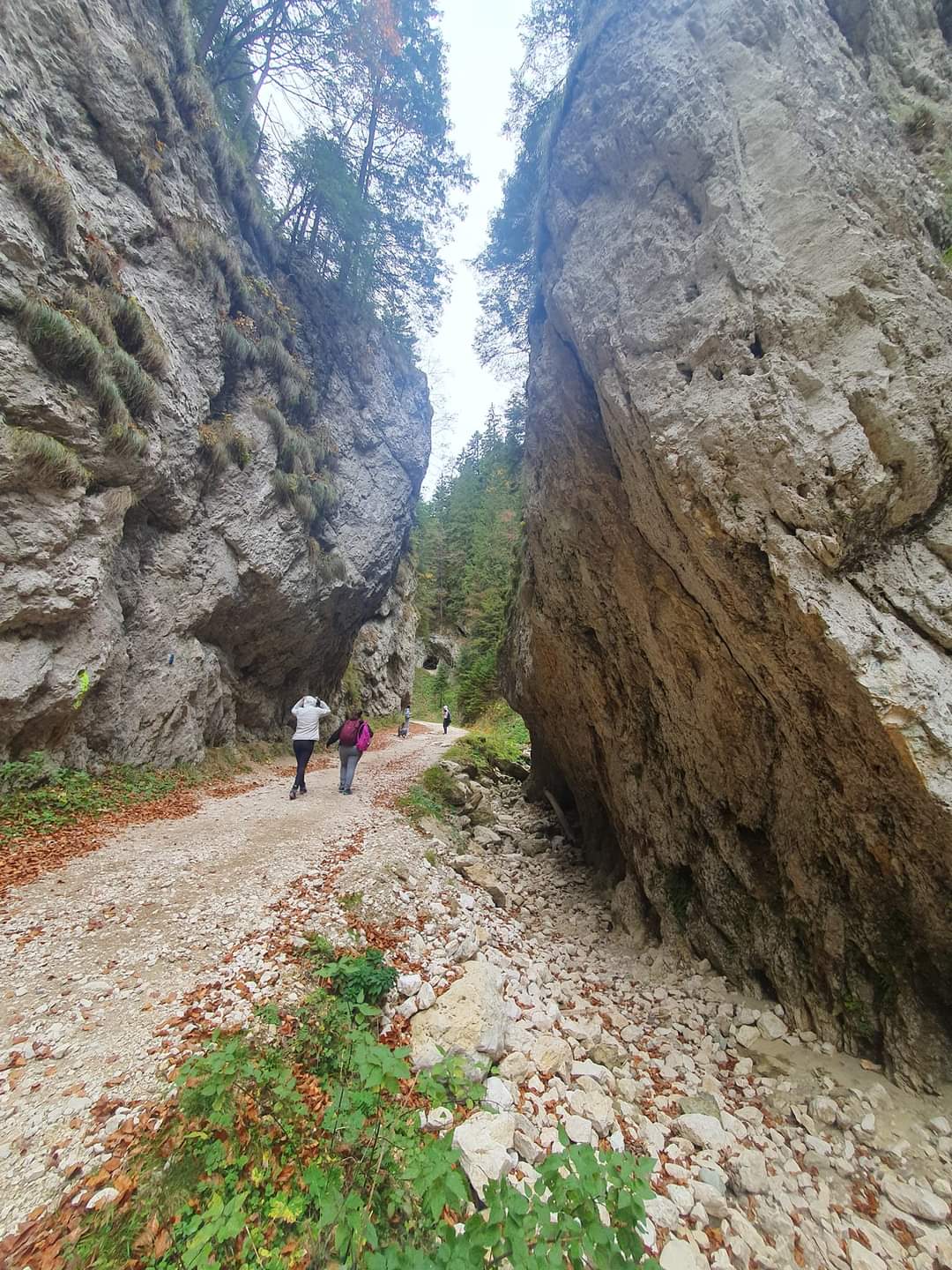 EXCURSIE ZARNESTI- PRAPASTIILE ZARNESTIUNUI- CABANA CURMATURA ...